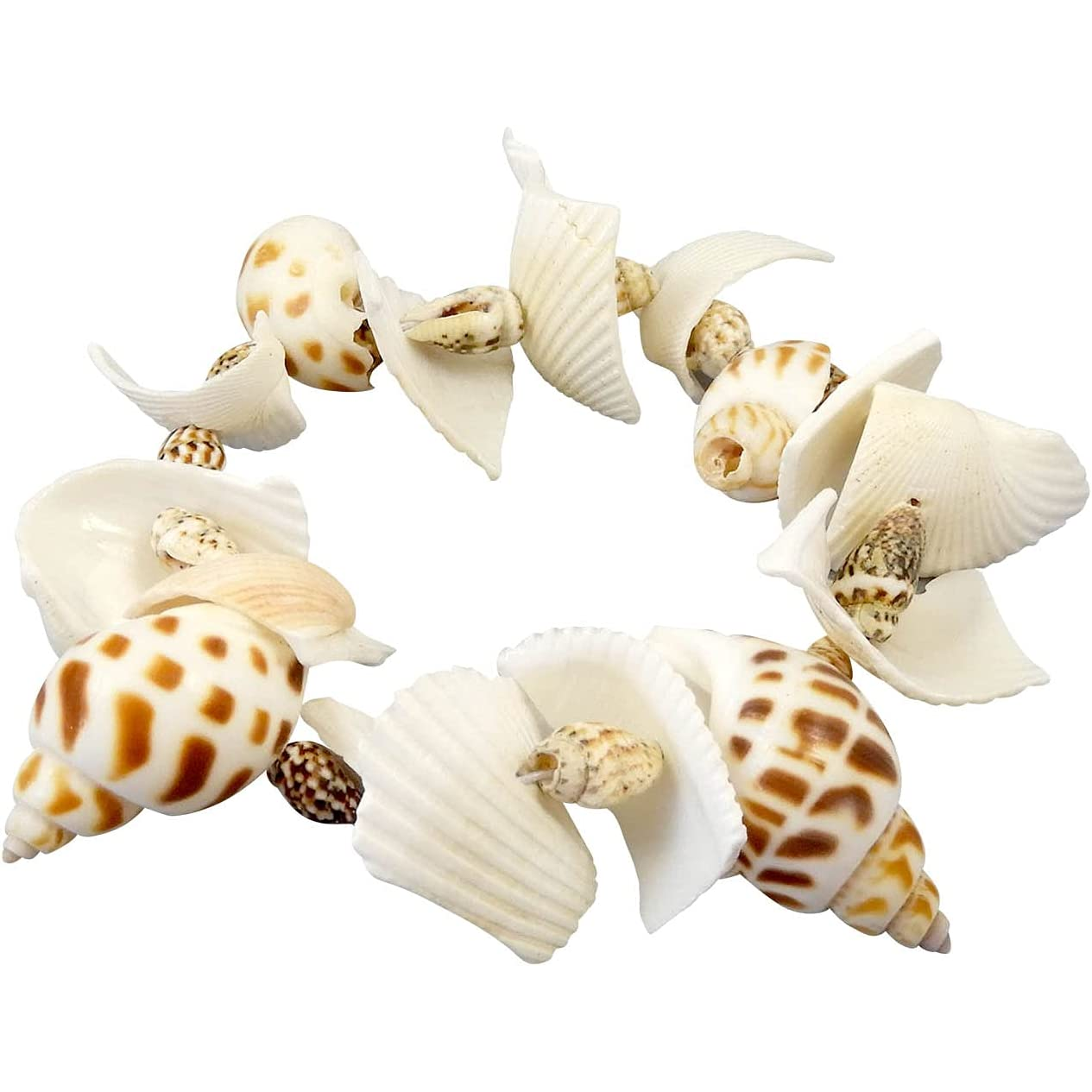 Buki Dig Kit - Shells | Baby Sophie – BABY SOPHIE